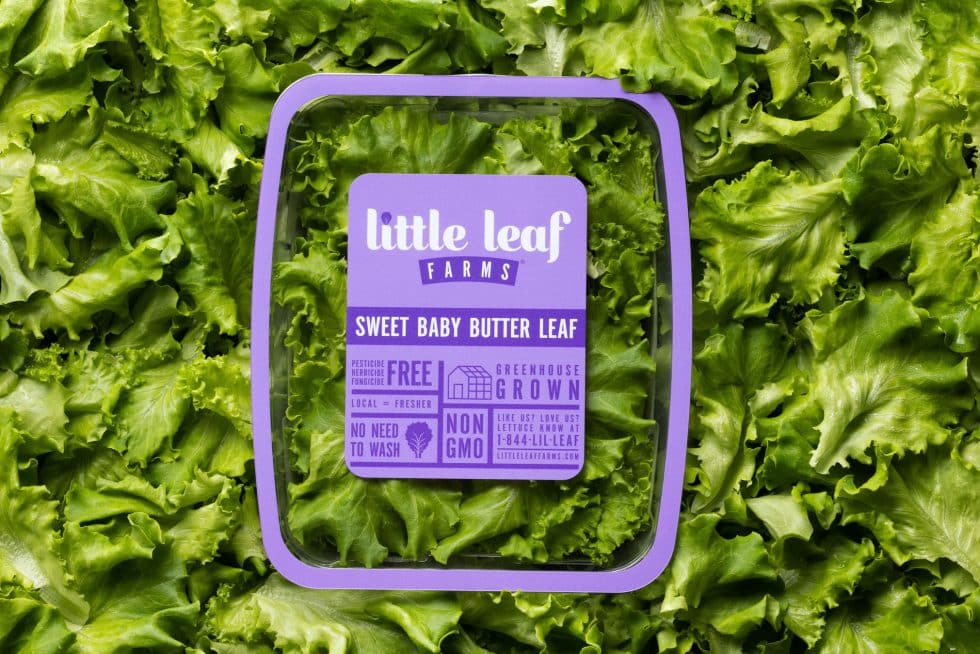 New Product Launch: Sweet Baby Butter Leaf - Little Leaf Farms
